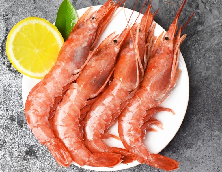 Nishin - Seafood, Prawns, Surimi and Fish products