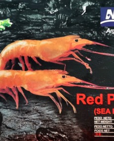 Nishin - Seafood, Prawns, Surimi and Fish products